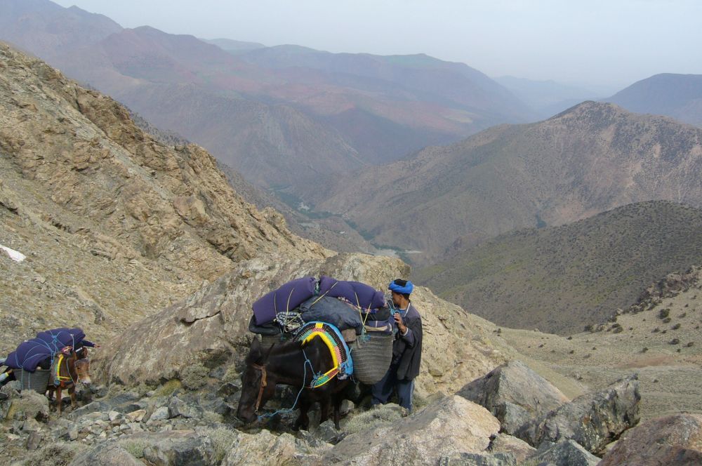 Mini Trek dans les gorges de l'oued Zat - DESTINATION EVASION